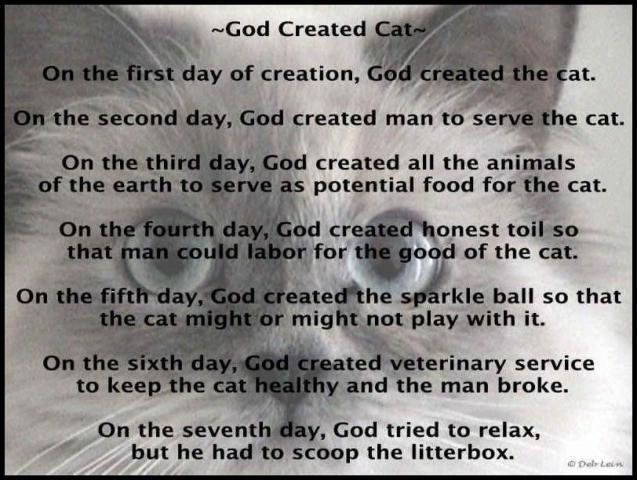 The truth about creation – Hole In the Hill